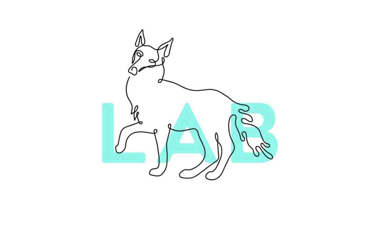 ANNOUNCING GRAYWOLF LAB | Graywolf Press